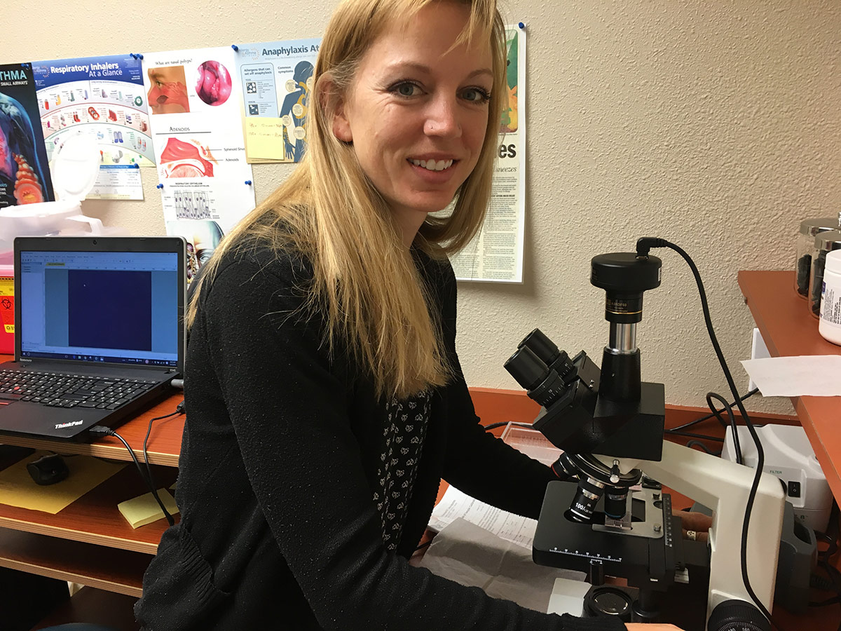 About The Pollen Count | Pollen Count for Grand Junction, Colorado